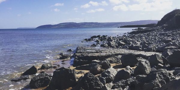 Puffin Bay | Writer Annie Dyer