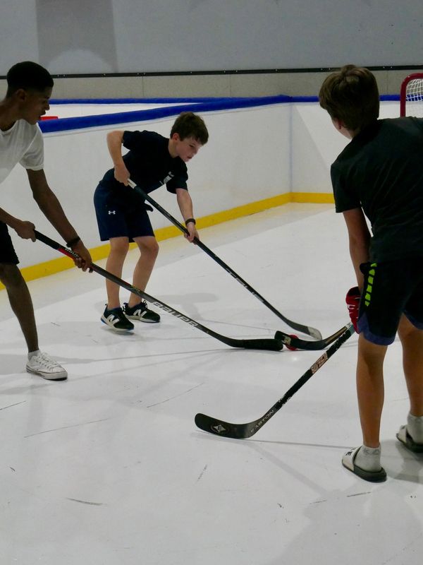 A Non-profit 501 C3 dedicated to growing the game of hockey