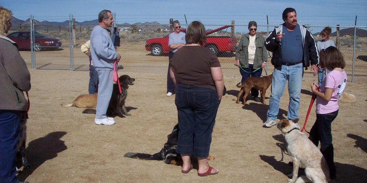 Obedience Classes - K9 Advantage