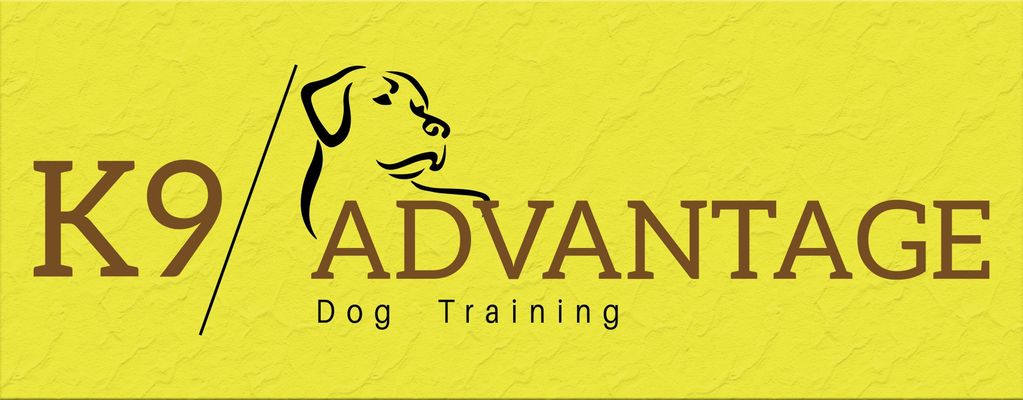 K9 Advantage - Dog Training, Obedience Classes