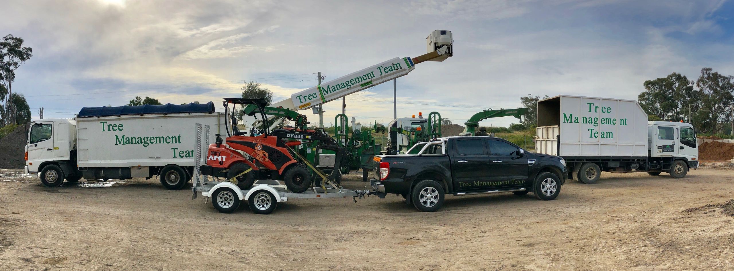 Tree Management Team