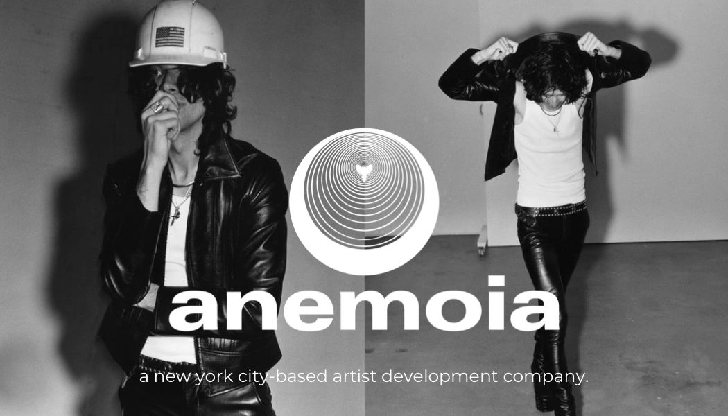 Anemoia | a New York City-based artist development company