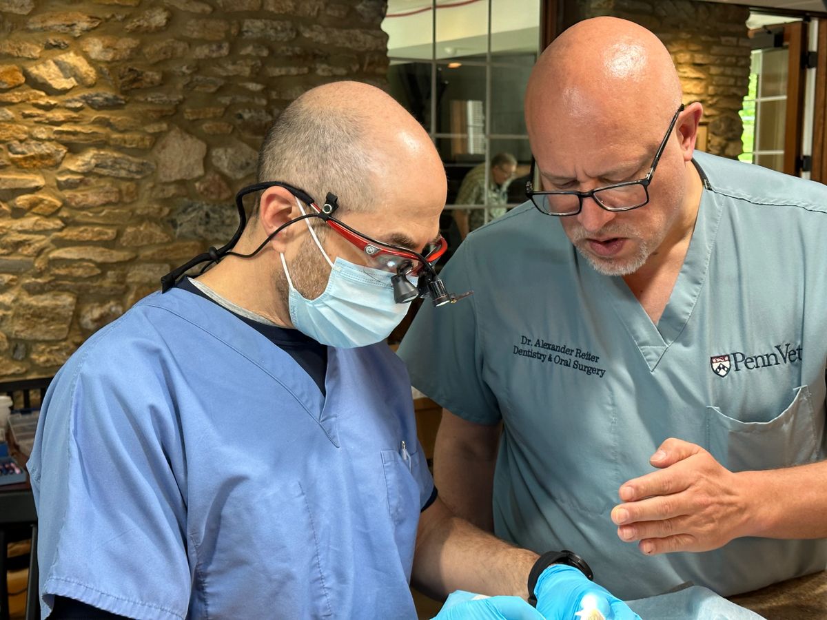 Mock Exam with Drs. Alex Reiter and John Lewis