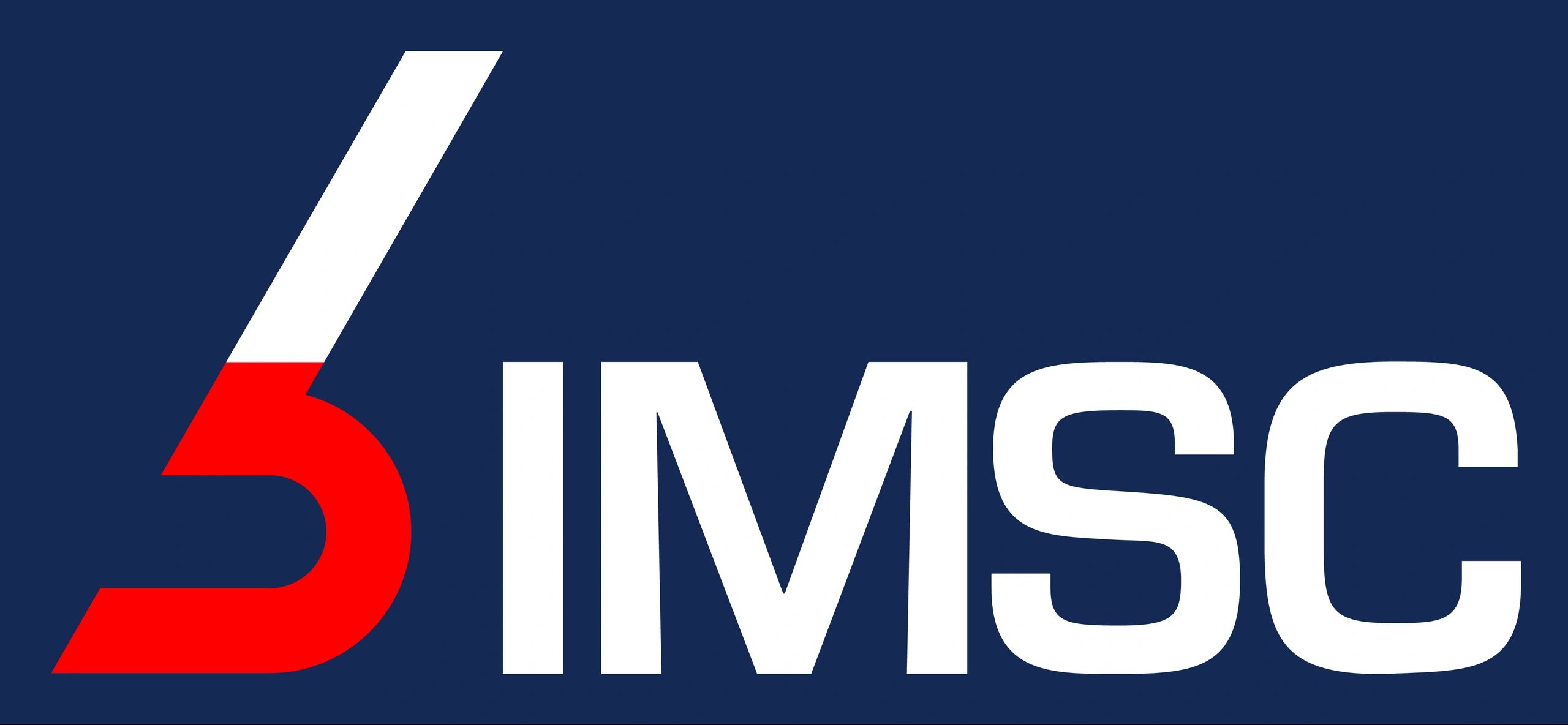 Ingram Marine Surveys and Consulting Inc.