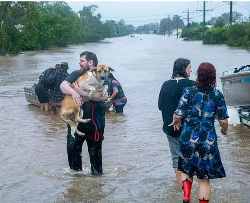Brisbane City Council Complaints - Brisbane City Council Complaint ...