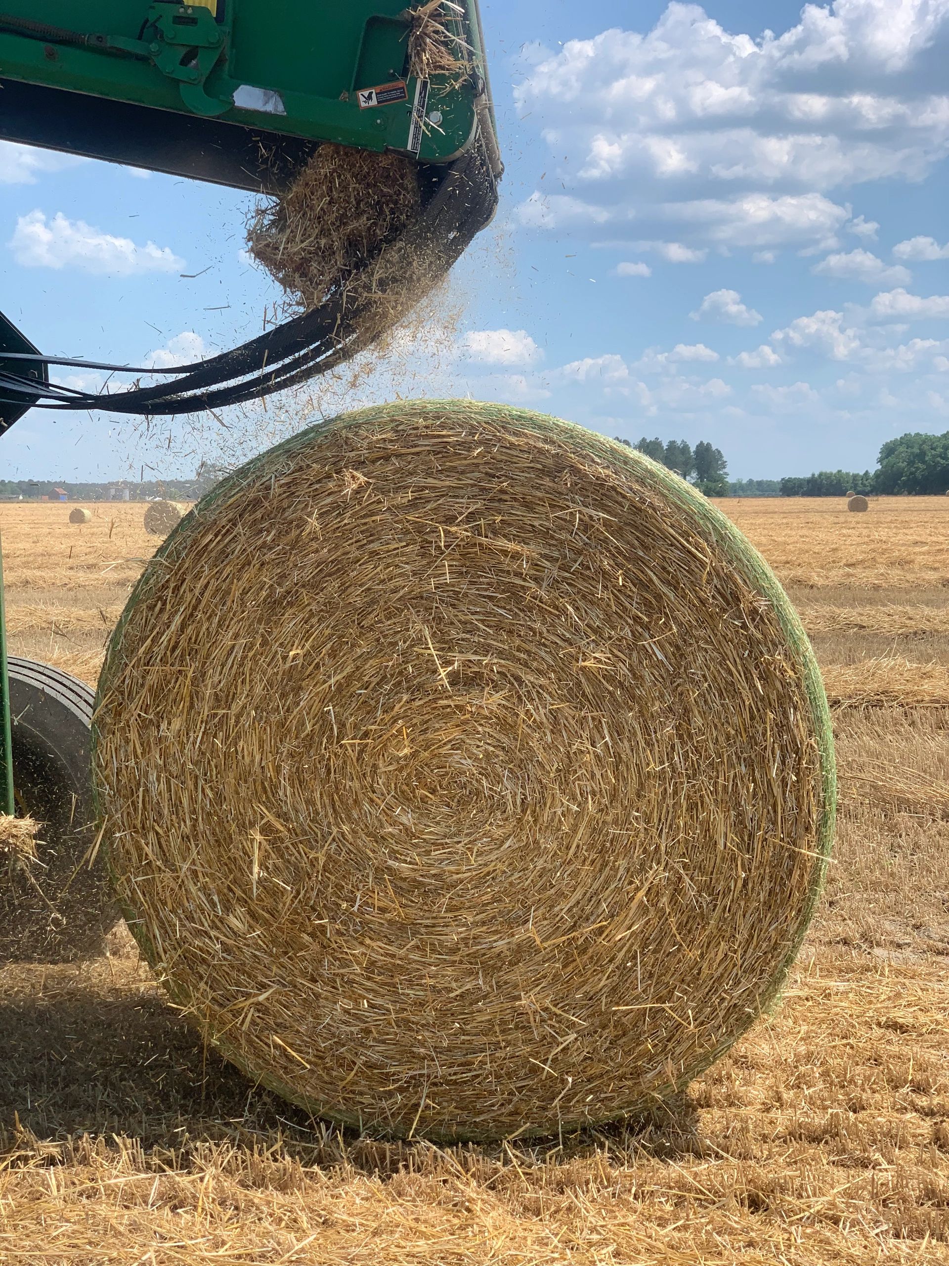Quality Peanut and Wheat Hay for Sale