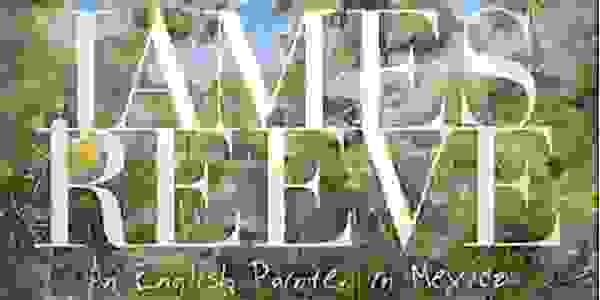 Artist - James Reeve