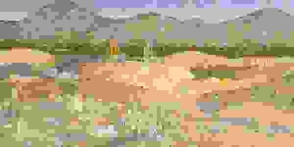 Artist - James Reeve