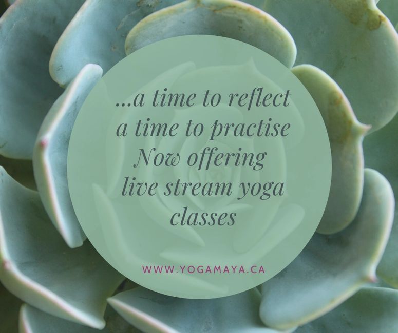 Yogamaya, Yoga, Yin Yoga - YogaMaya - Calgary, Alberta