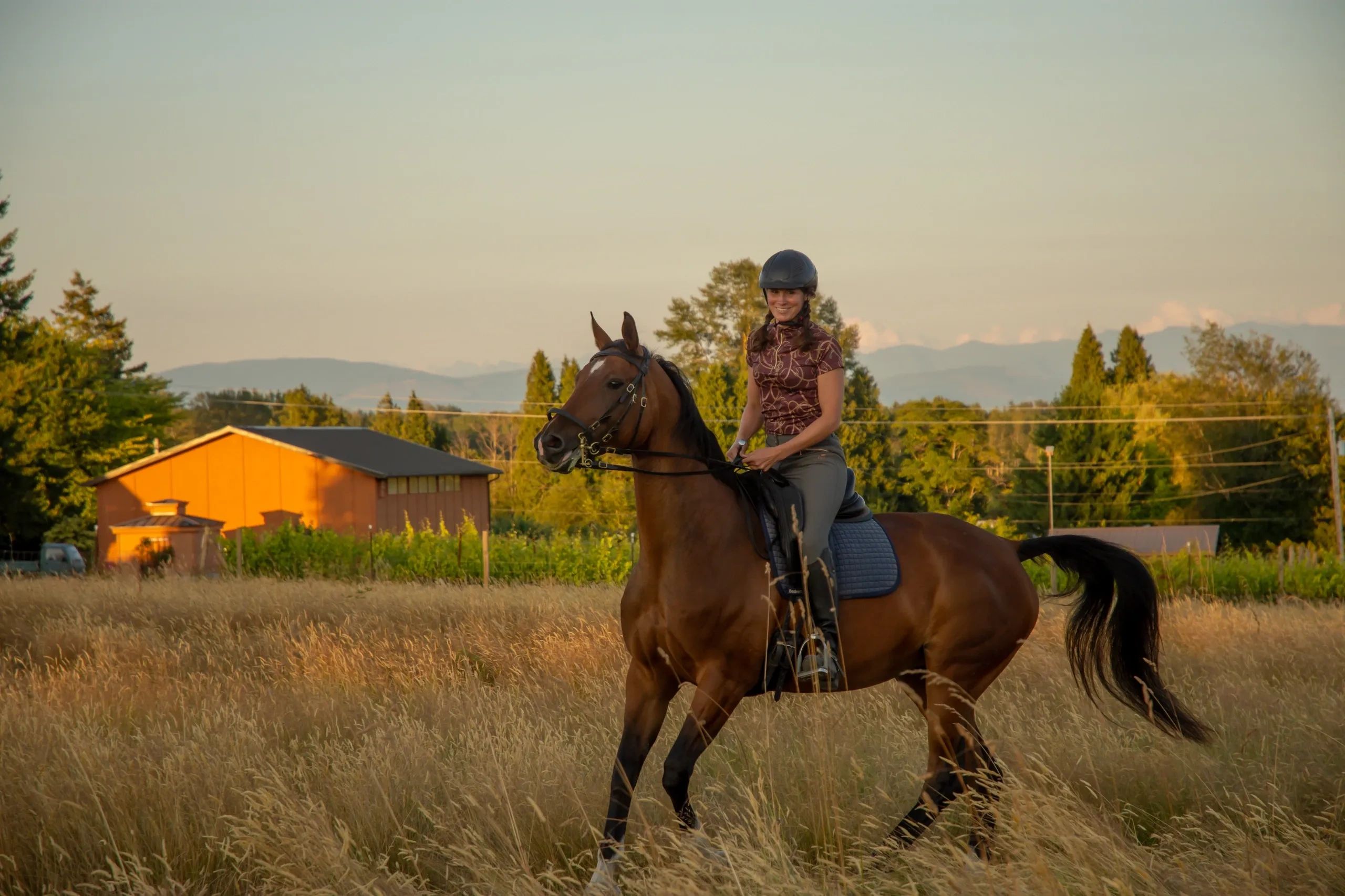 Thompson Serenity Stables
