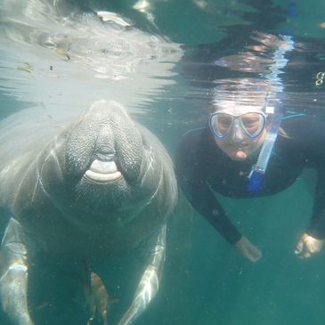 Swim with Manatees in Crystal River