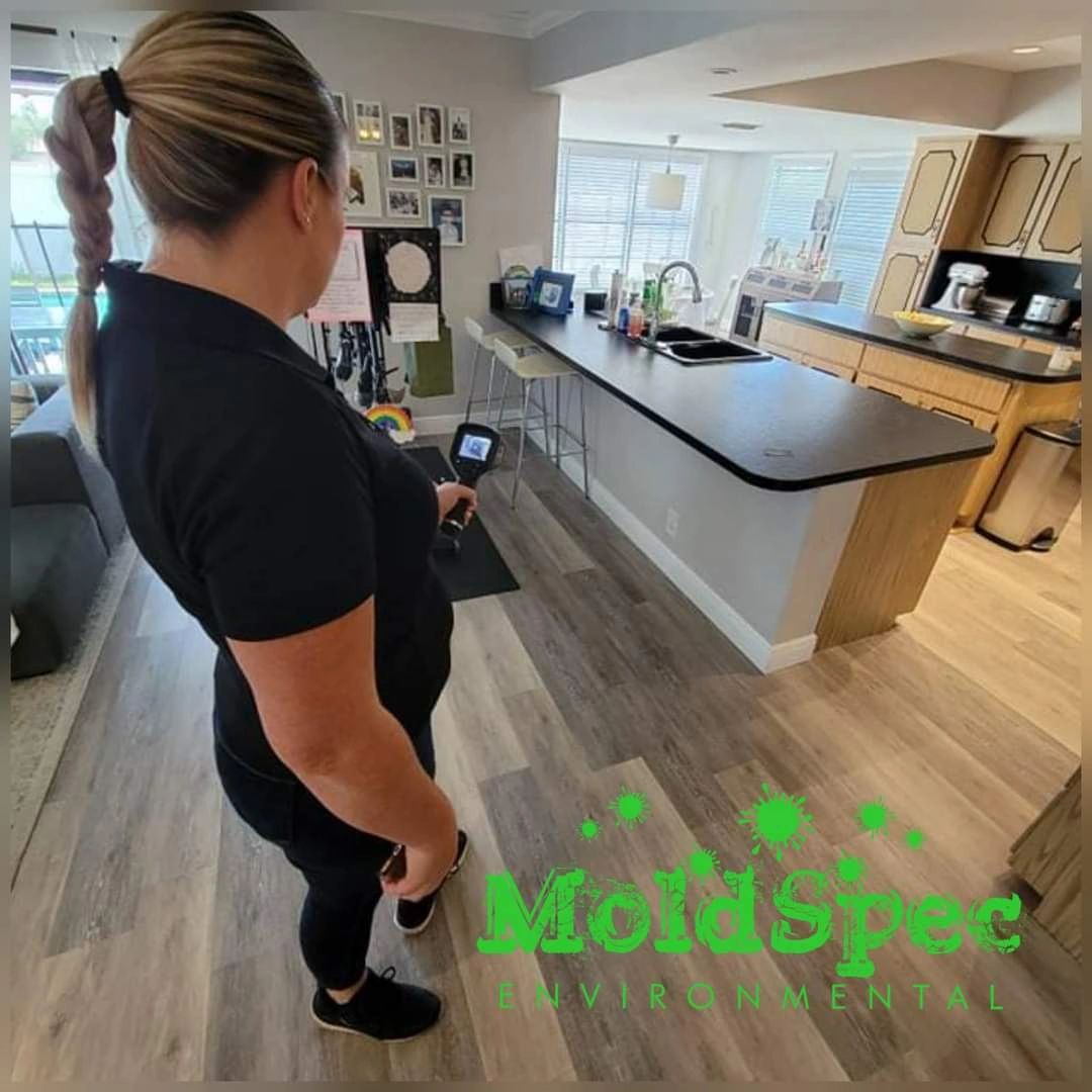 Mold Inspection Mold Testing & Indoor Quality Port St Lucie Stuart Fort ...