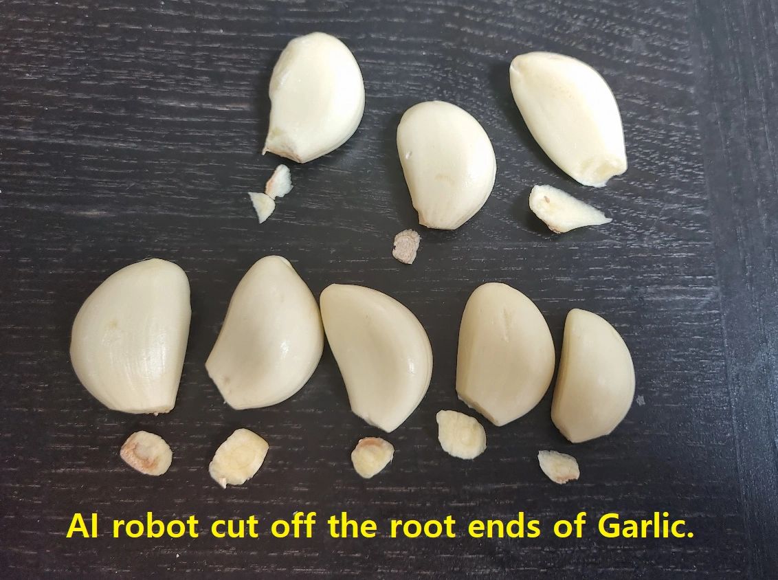 Garlic Root End-Cutter - u.s. Garlic Products, Peeled Garlic, Garlic