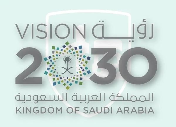 Saudi Pelican - Vision 2030, Commitment
