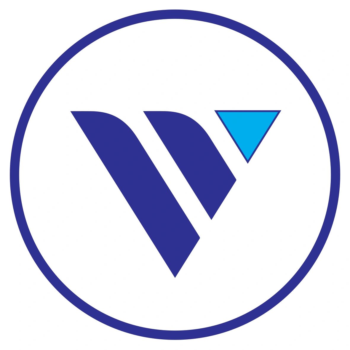 Victory Capital Group