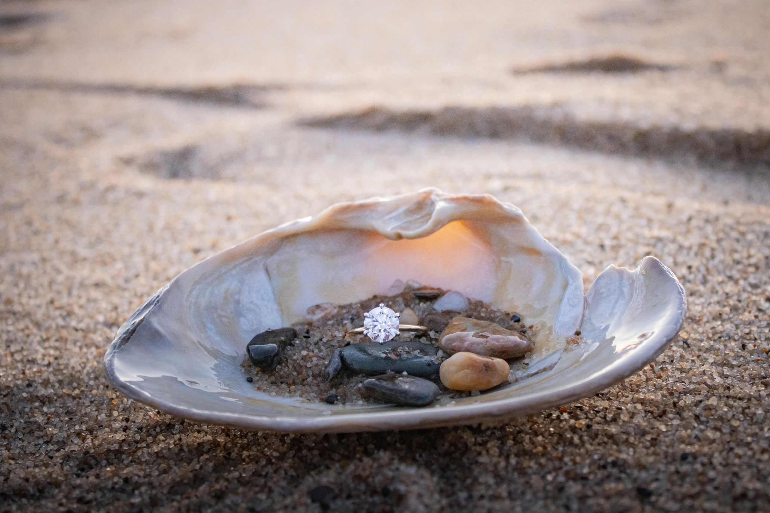 Find Professional Photographers Near Me