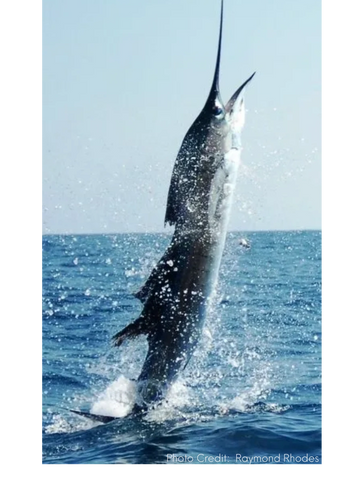 Jennuine Travel - Home