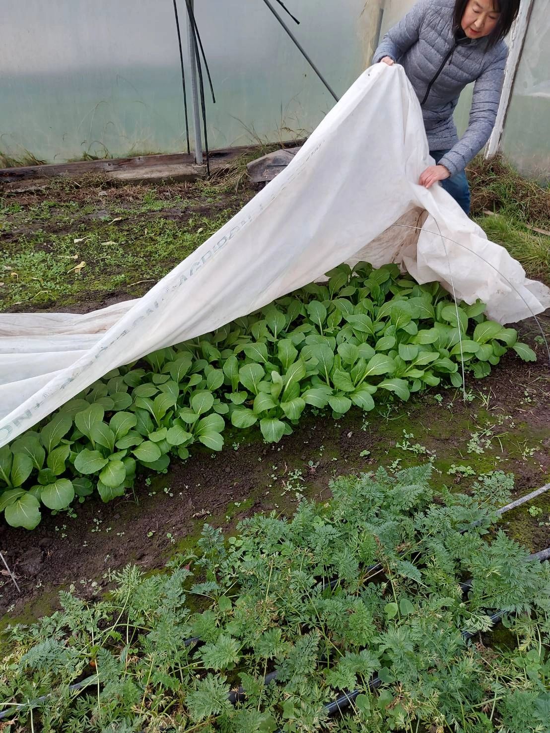 Tama Organic Life Foods – What We Sell