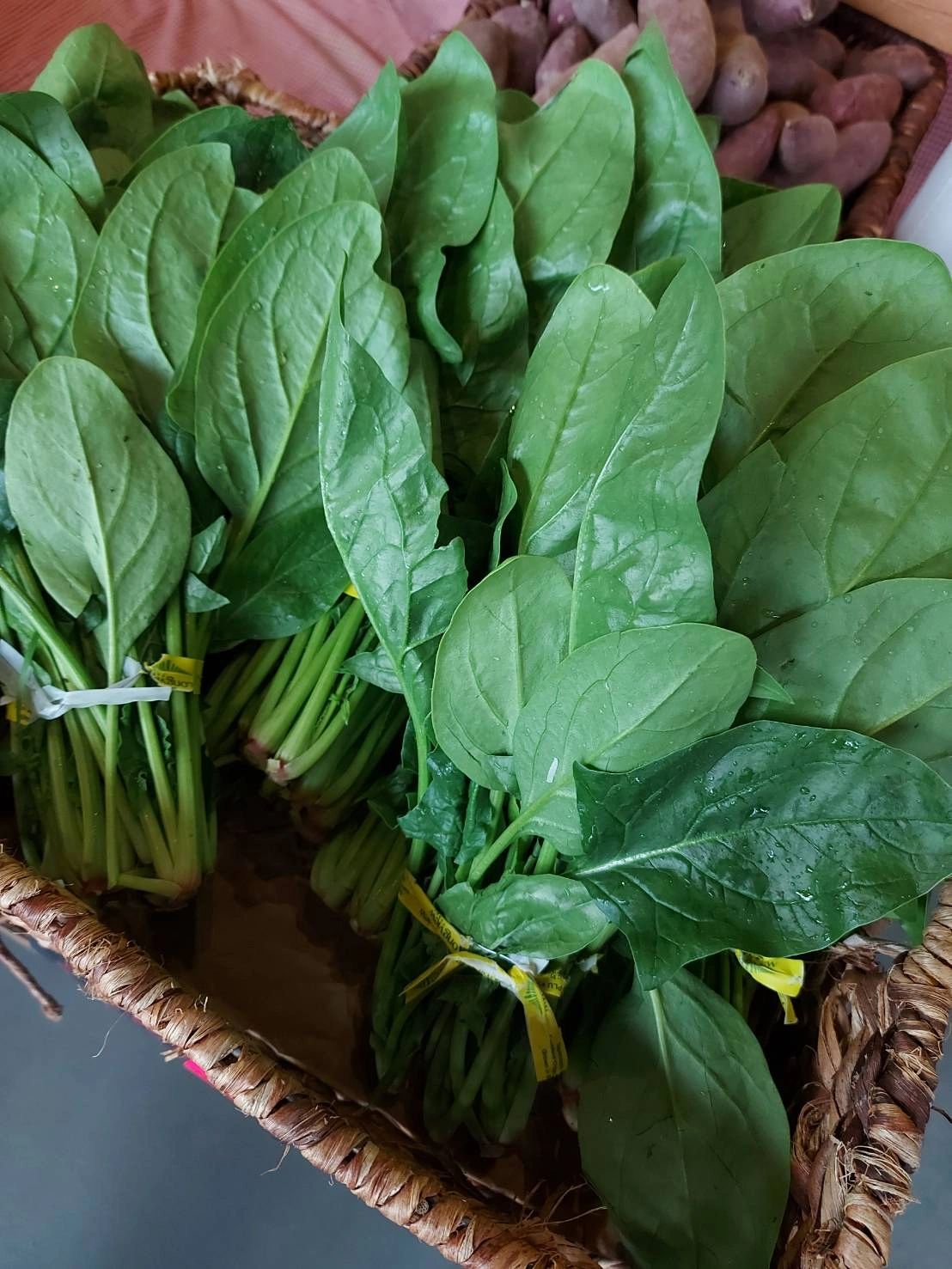 Organic Produce Store – Tama Organic Life Foods