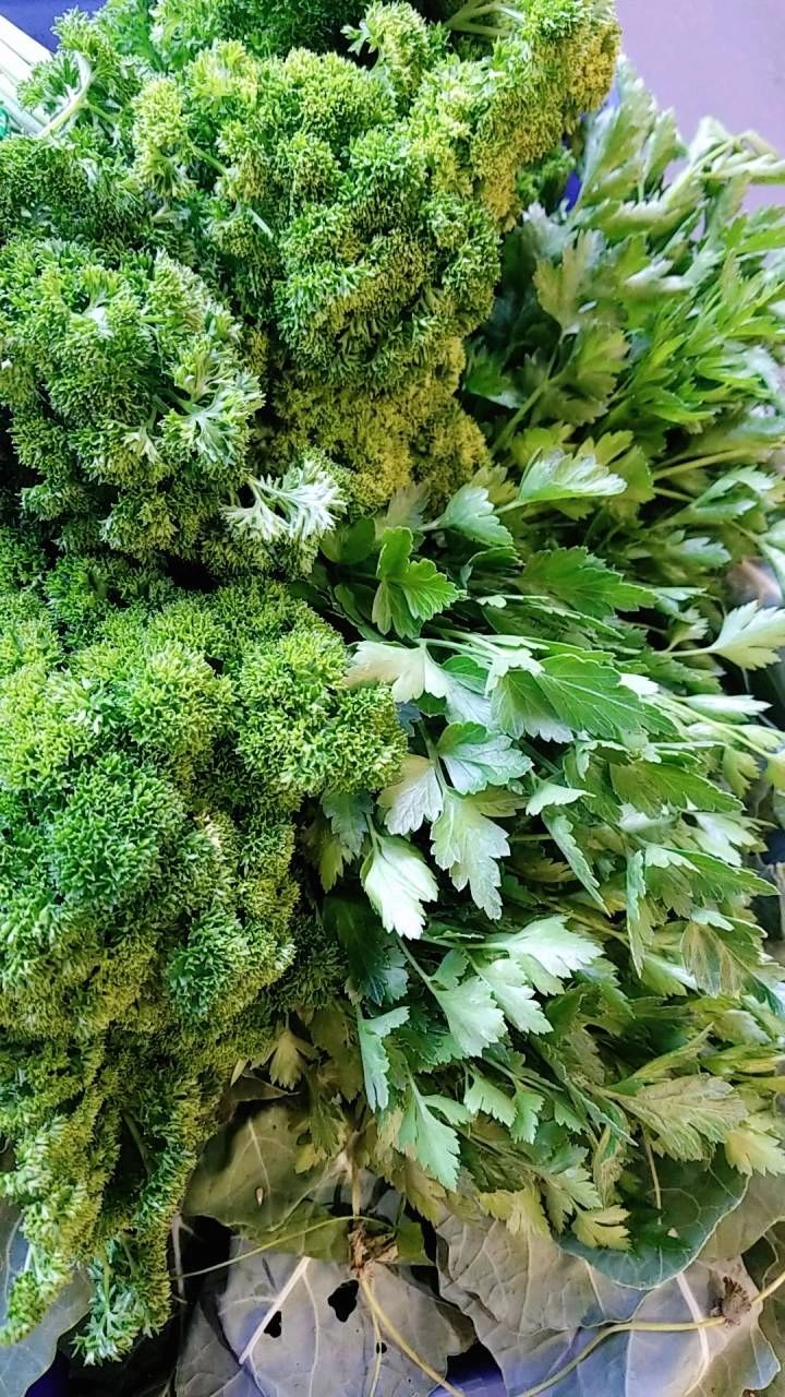 Organic Produce Store – Tama Organic Life Foods