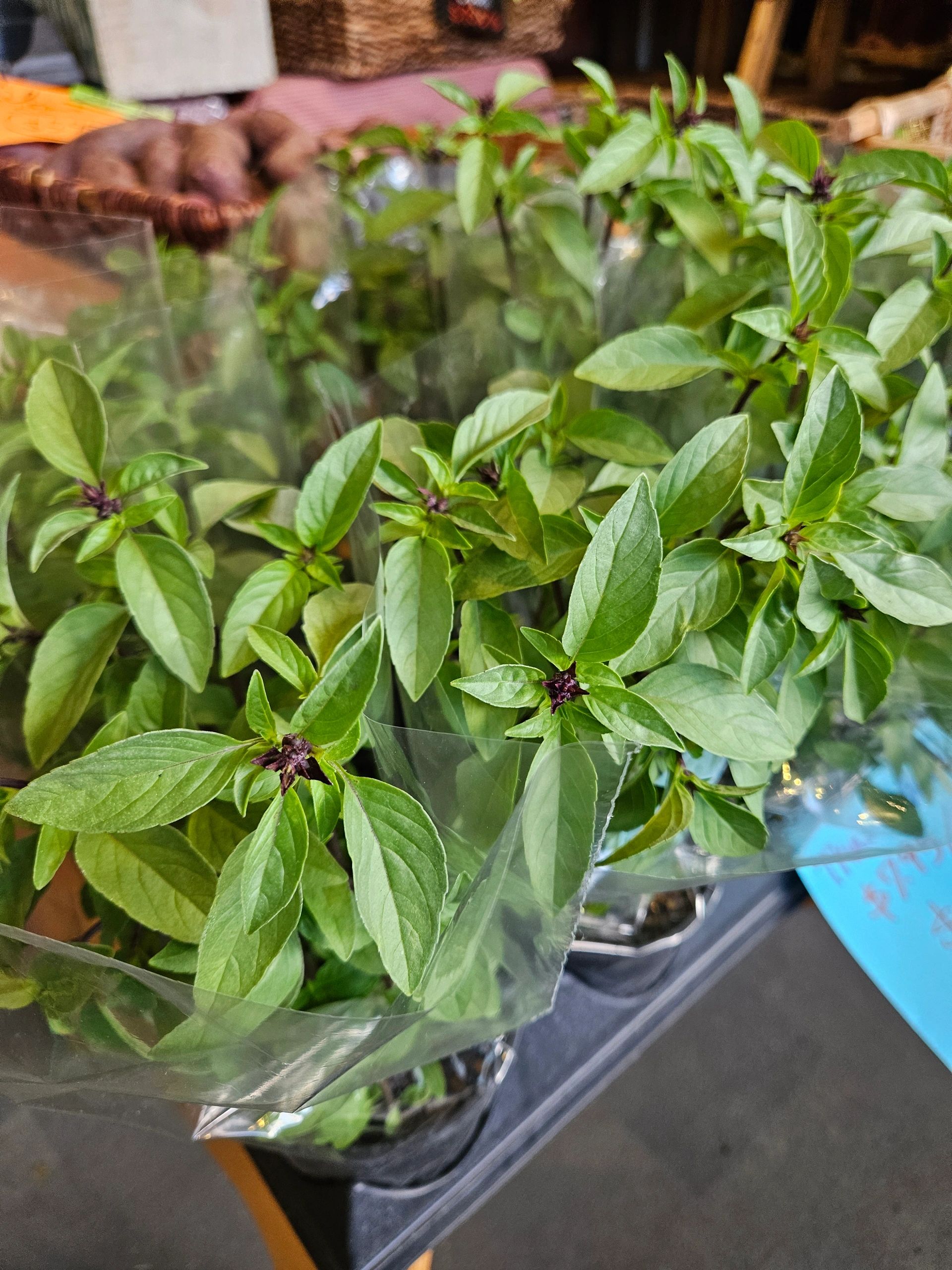 Organic Produce Store – Tama Organic Life Foods