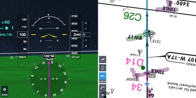Home [pilotsafety.org]