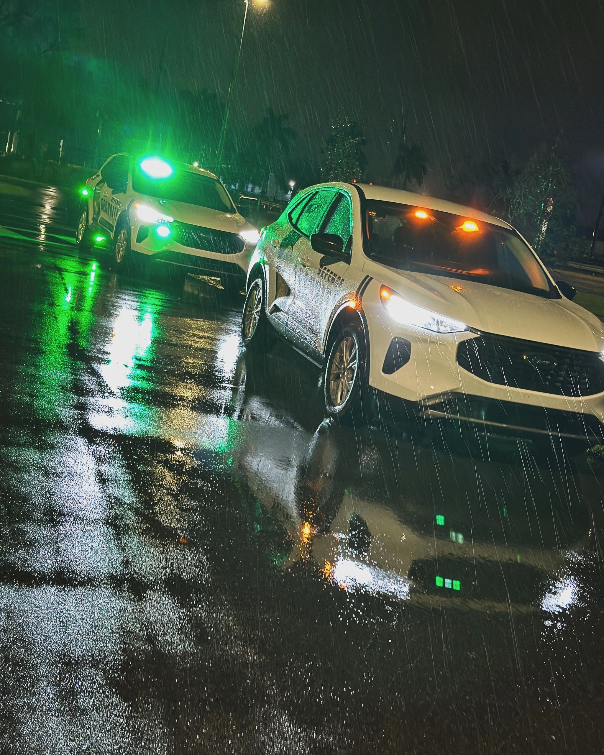 Leading Armed Security Agency