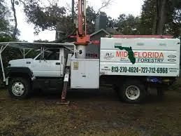 Mid Florida Forestry Tree Service