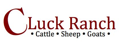 Cluck Ranch - Red Angus Cattle, Spanish Goats, Sheep