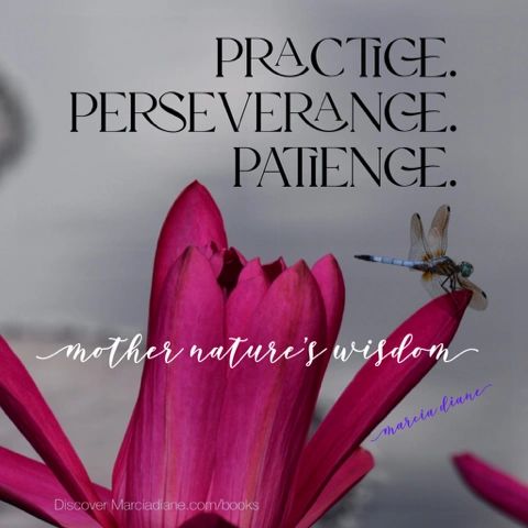 Practice. Perseverance. Patience.