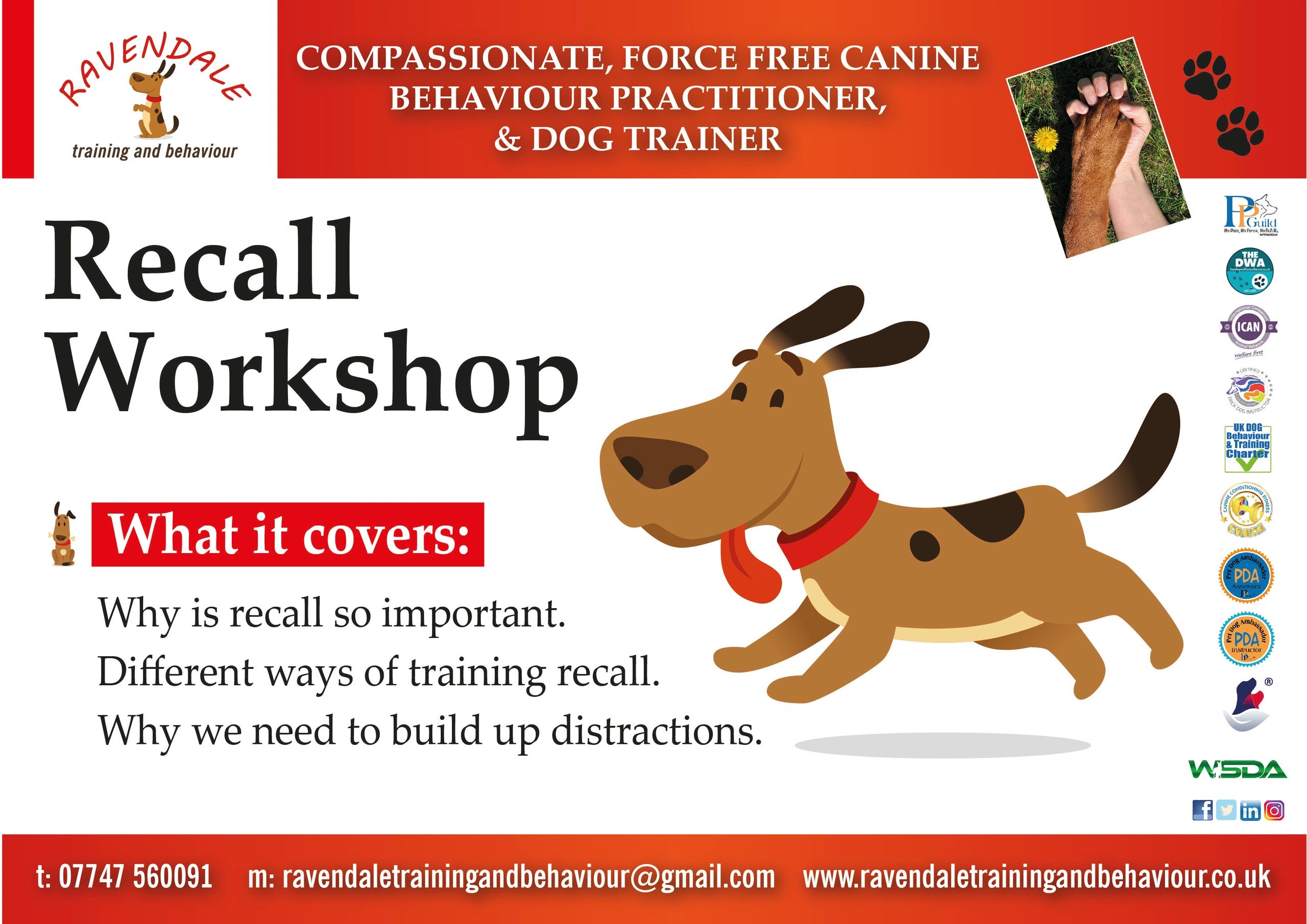 Recall workshop (OUTSIDE AT PARTRIDGE GREEN) ALTERNATE SUNDAY'S 1PM