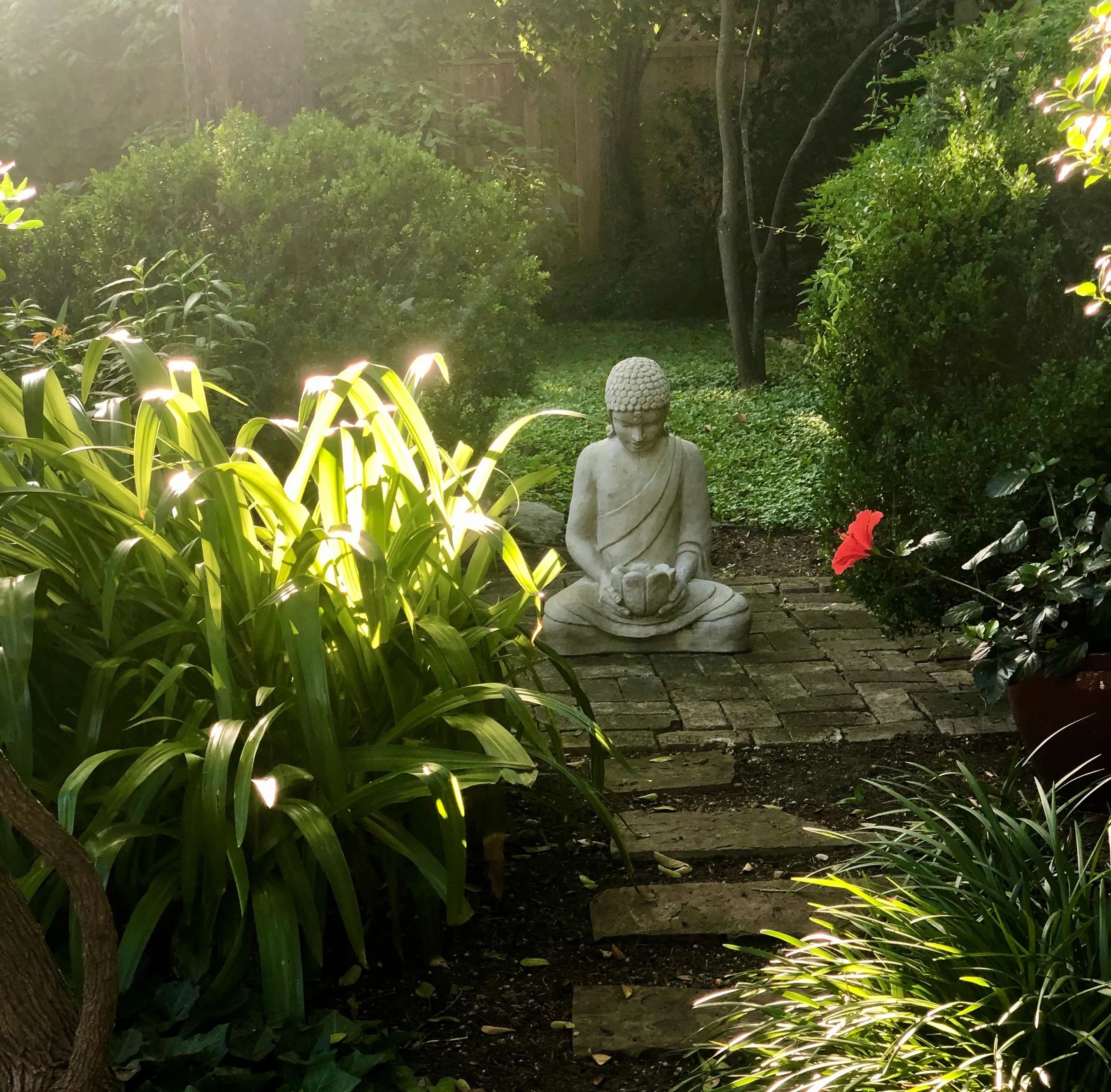 Portable Calm Training