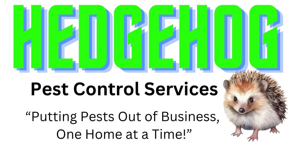 Expert Pest Control Services Near Me