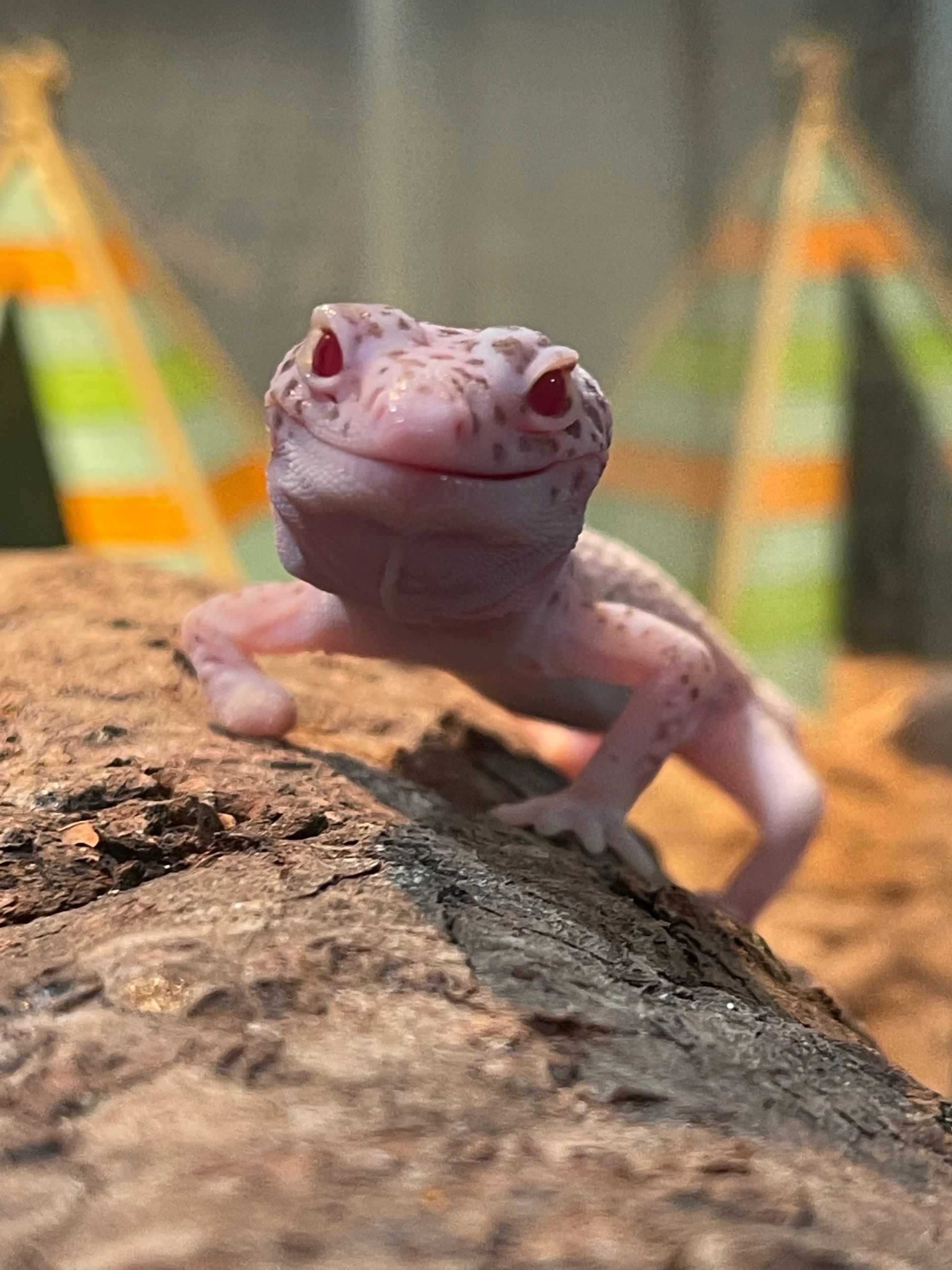 November to remember!