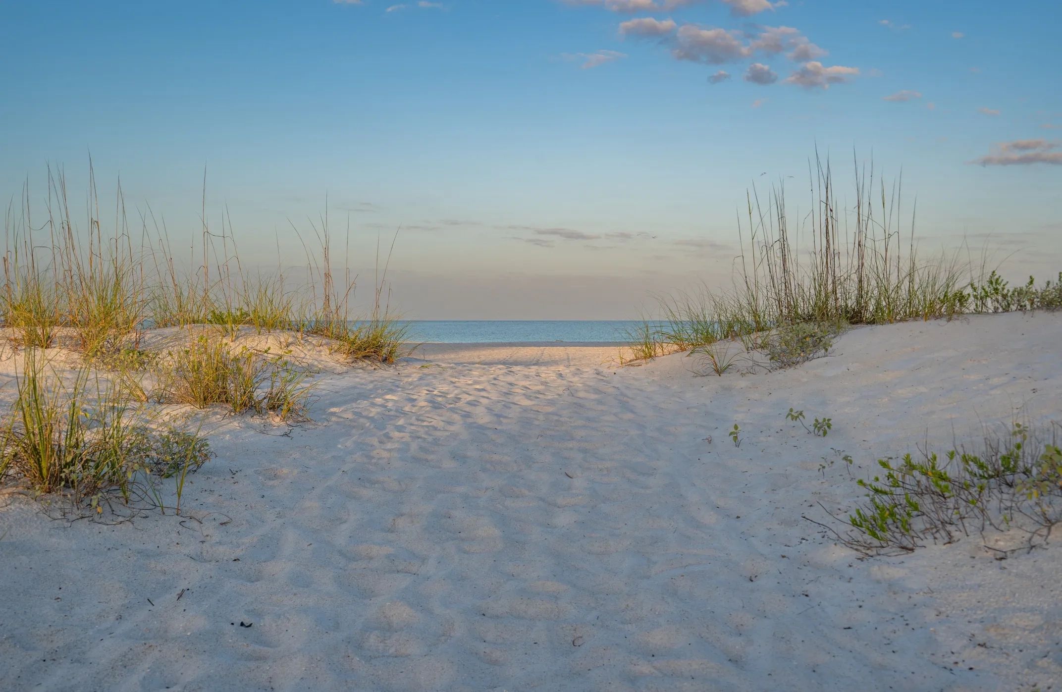 Beach Life Real Estate LLC