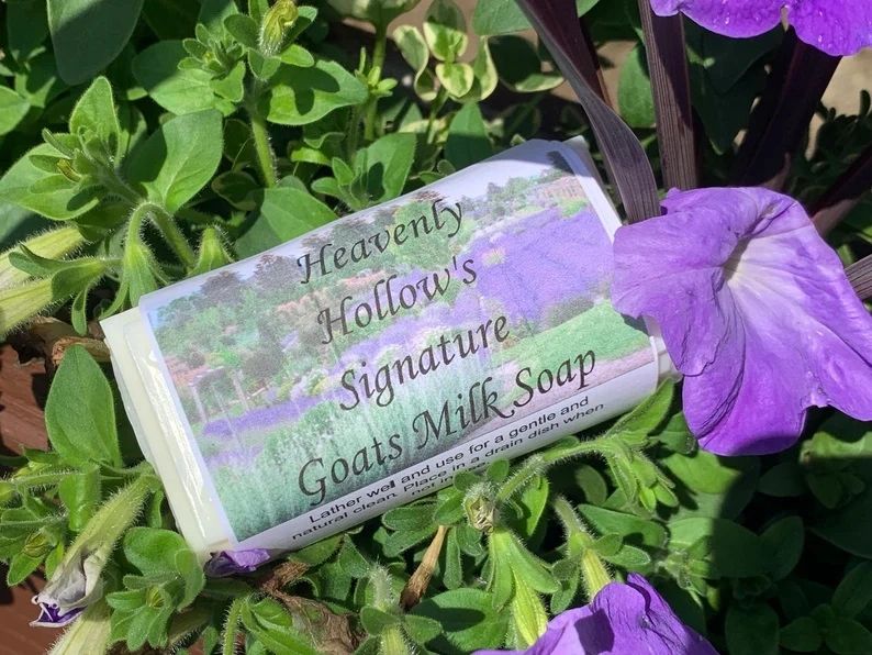 Heavenly Hollows Signature Goats Milk Soap, Pure Goats Milk Soap ...