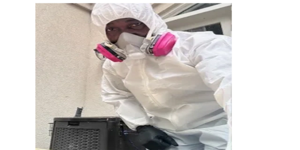 Top Exterminators Near Me - HomeShield Pest Solutions