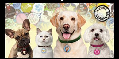 Symbiotic Inc. - Home