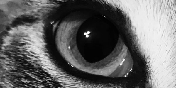 Symbiotic Inc. - Home