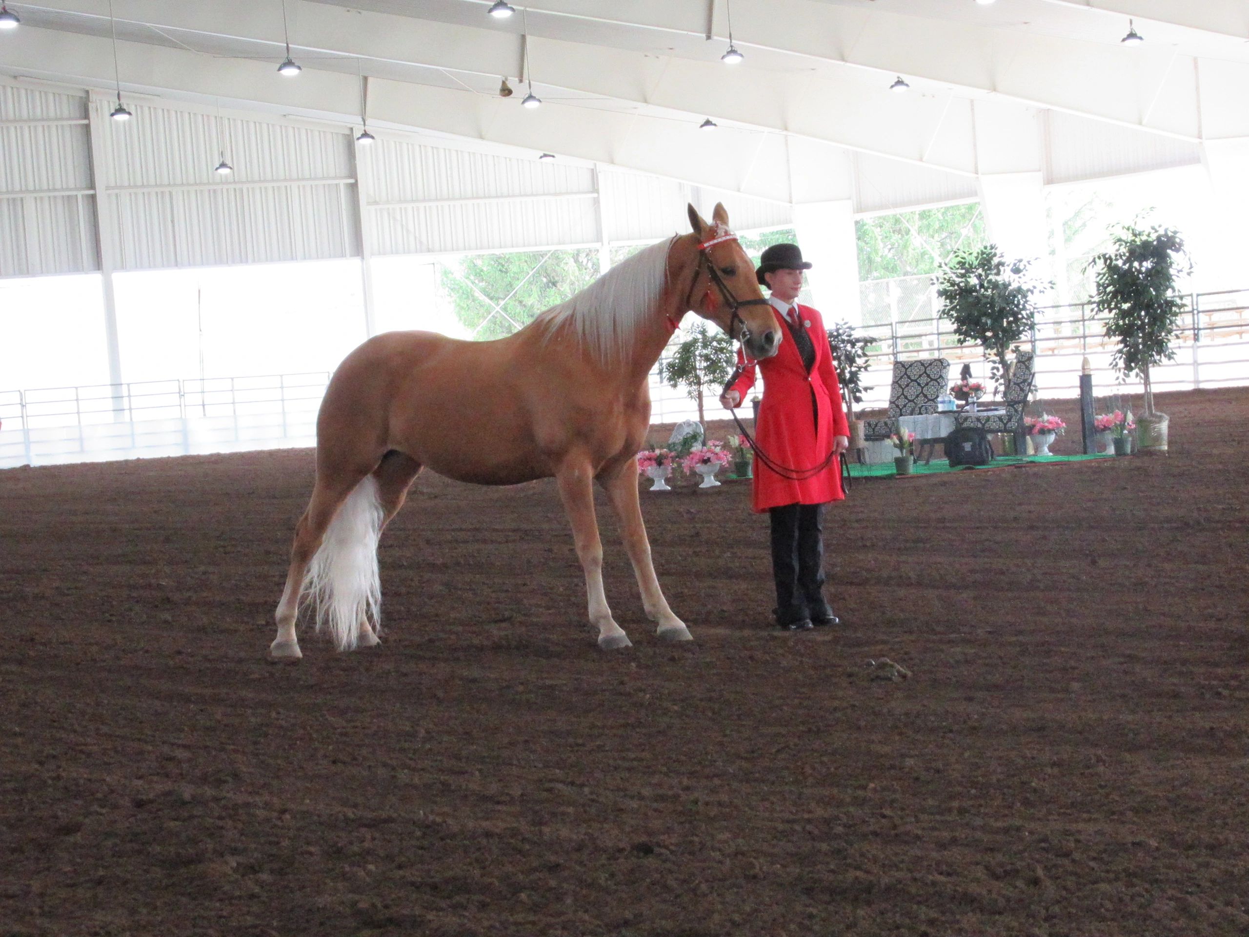 A Gaited Gala | Indiana Gaited Horse Association
