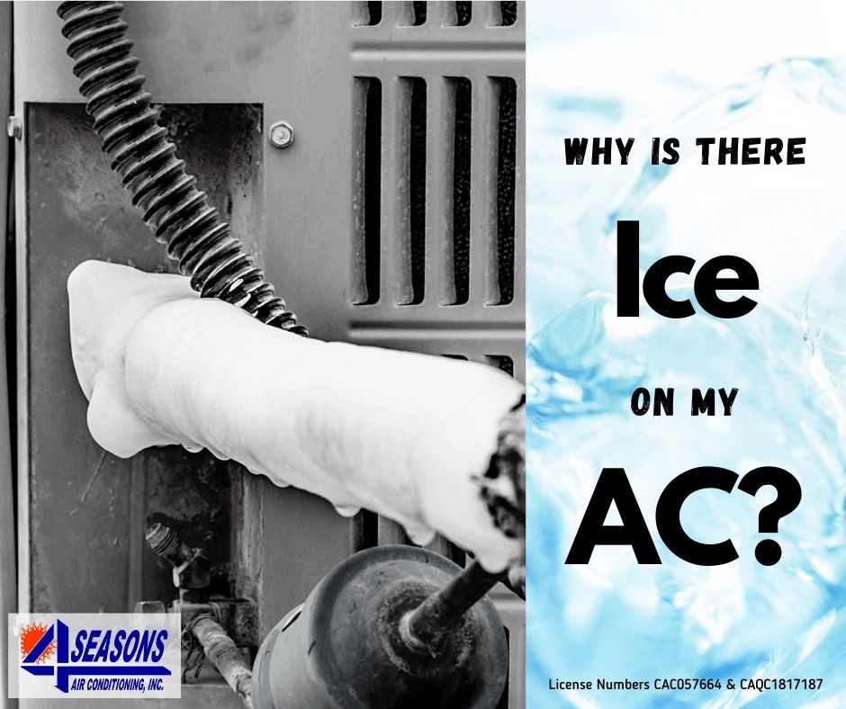 Why Does Ac Throw Ice at Alana Toomey blog