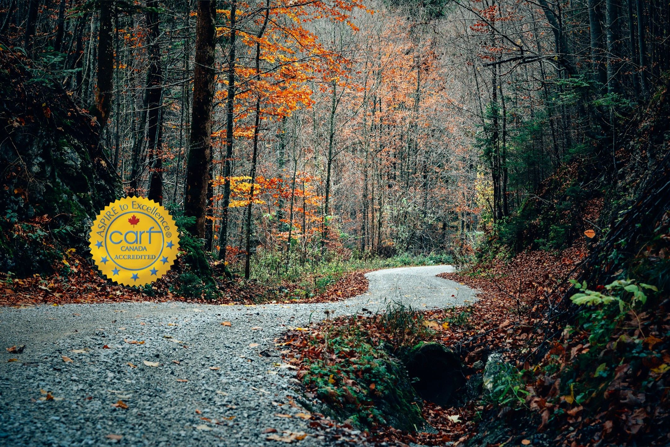 Red Road Recovery: CARF-Accredited Addiction Treatment