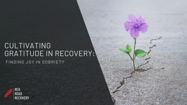 Cultivating Gratitude in Recovery: Finding Joy in Sobriety