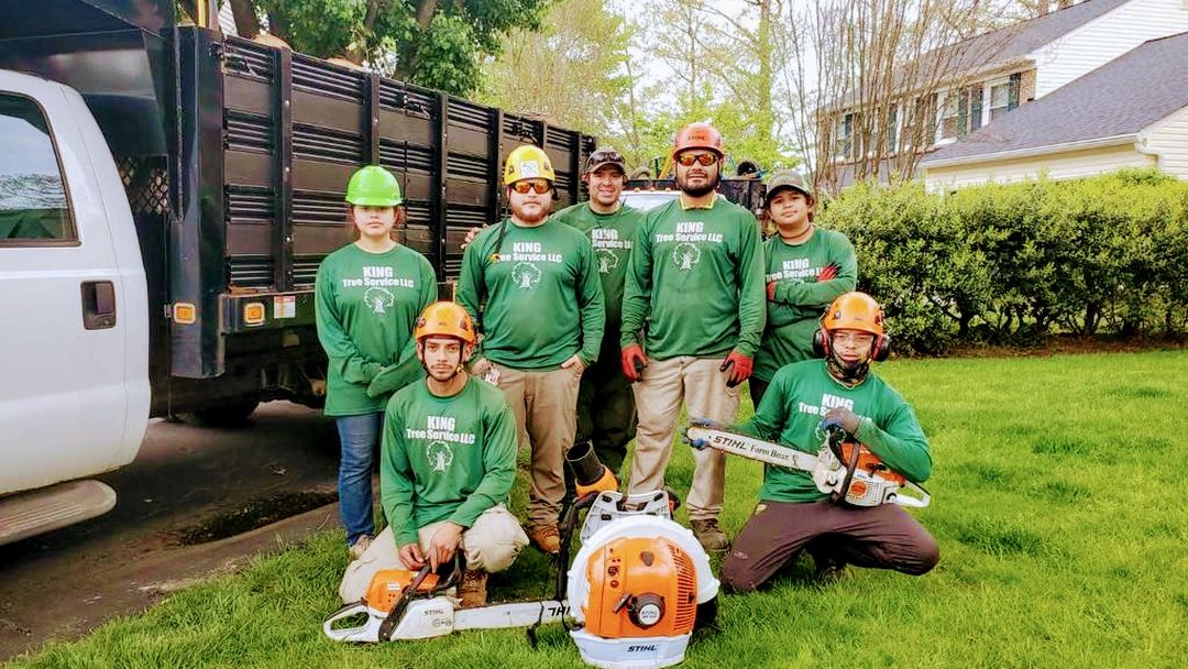 Top-rated Tree Trimming in Manassas | King Tree Services
