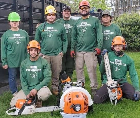 King Tree Services Manassas | Trusted Tree Care