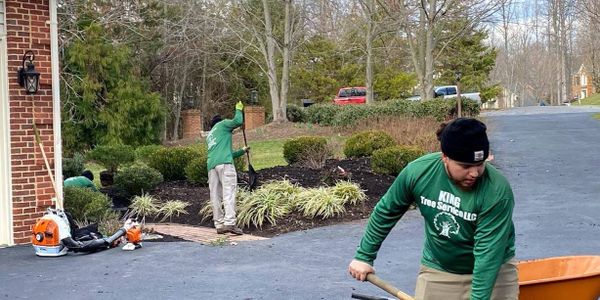 King Tree Services LLC - Tree Services, Professional Tree Care Services ...