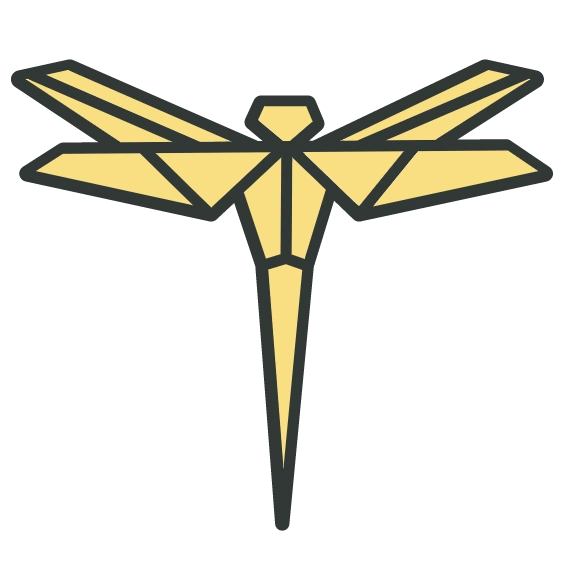 Dragonfly Network Solutions