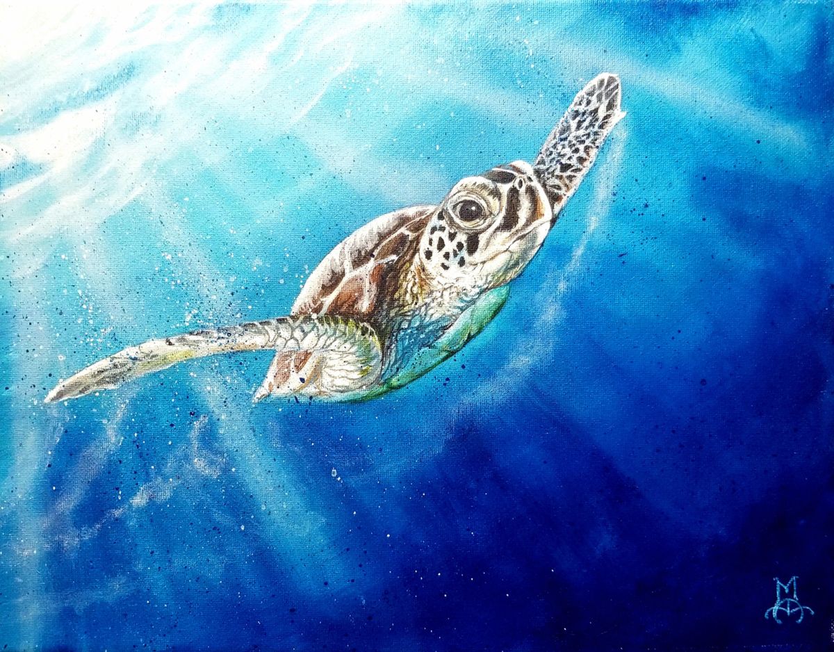 Turtle Spin - Instructional E-packet