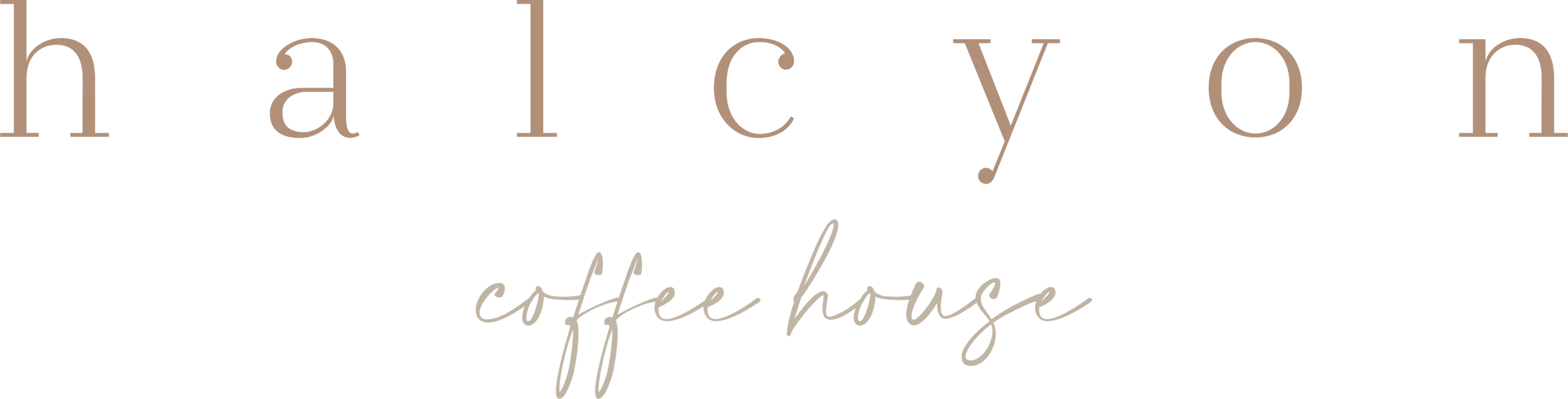 Catering Services | Halcyon Coffee House