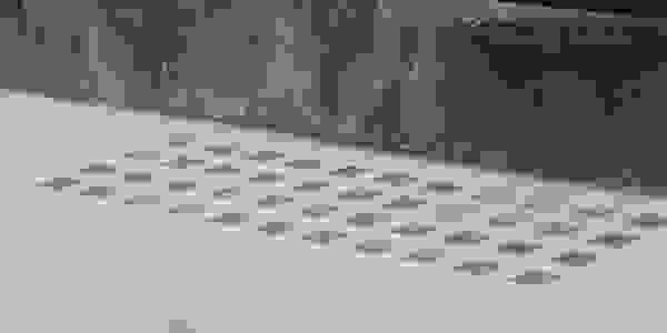 Pavement Lights | The Pavement Light Company